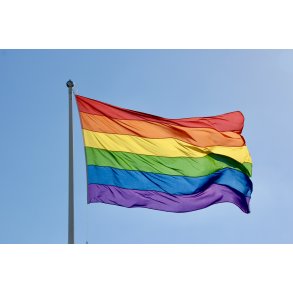 Dannebrog - Køb Dannebrog i mange størrelser og prisklasser